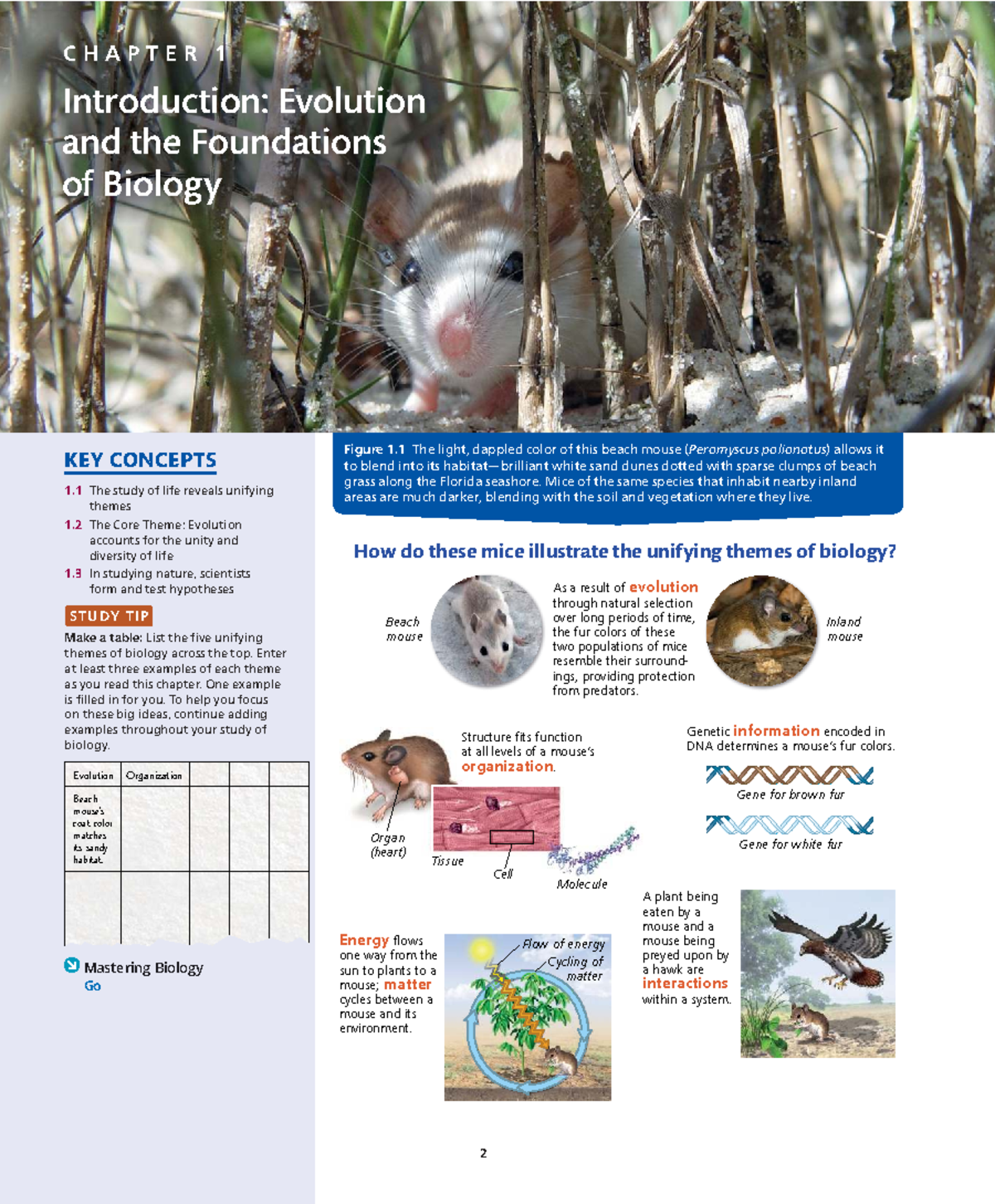 Chapter 1: Introduction to Evolution and Foundations of Biology ...