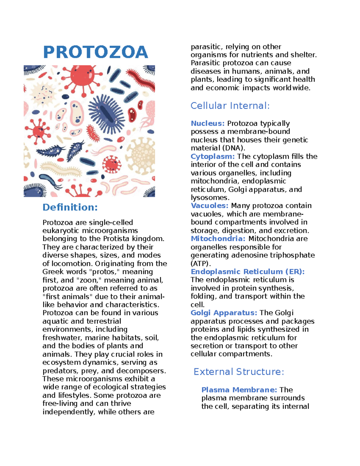 Protozoa - study - PROTOZOA Definition: Protozoa are single-celled ...