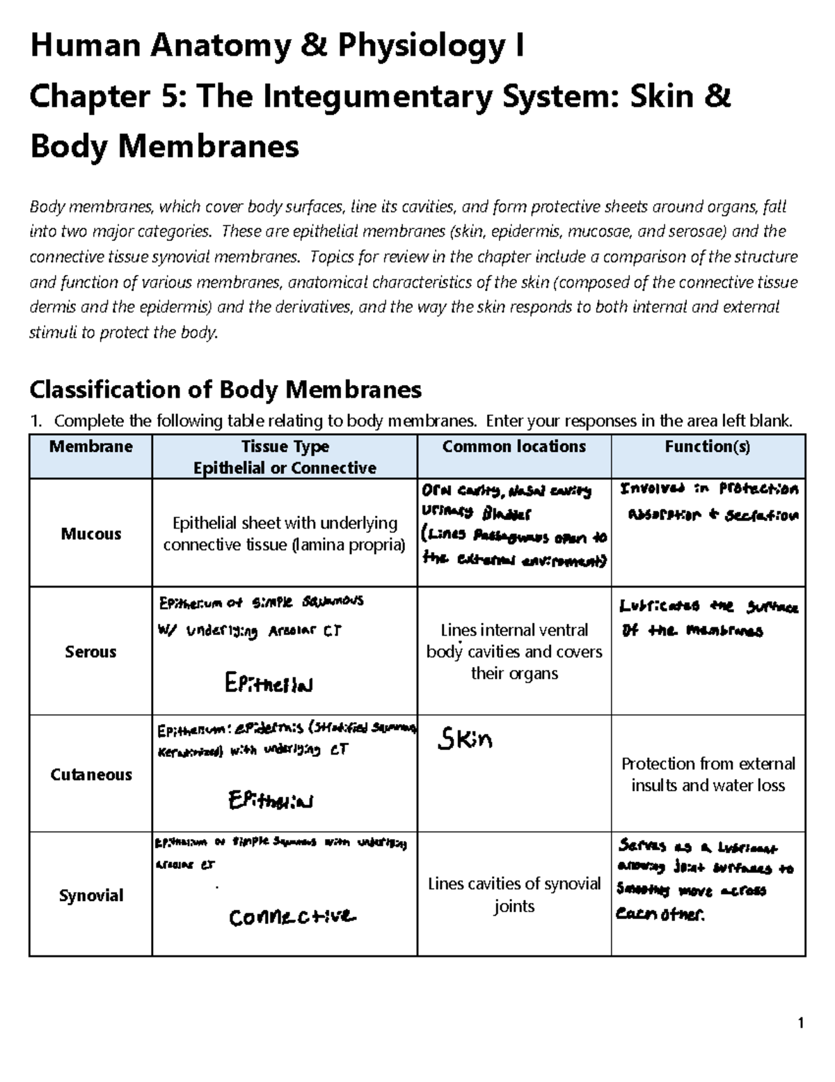 LAB Chapter 5: The Integumentary System Overview and Key Concepts - Studocu