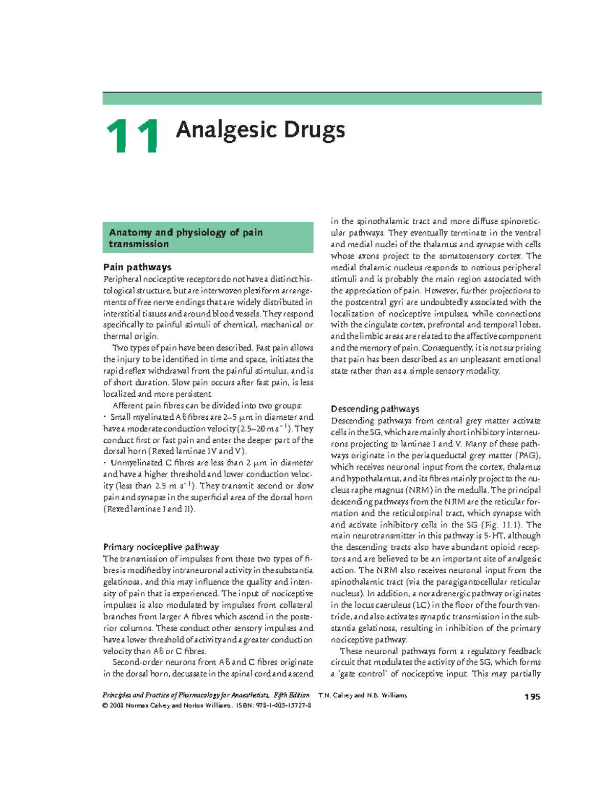 Analgesic Drugs: Anatomy and Physiology of Pain Transmission (PHAR 101 ...