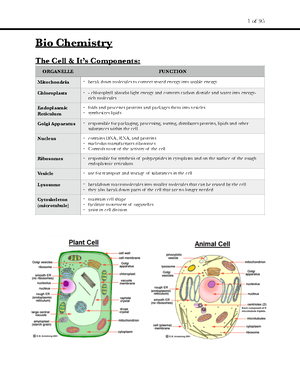 Canine Classification - Class I canine with the maxillary canine (black ...