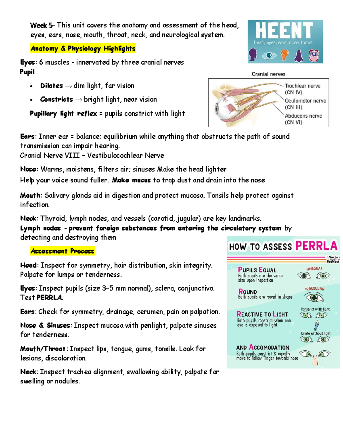 HEENT Anatomy & Assessment Quiz 2 - HA Course - Studocu