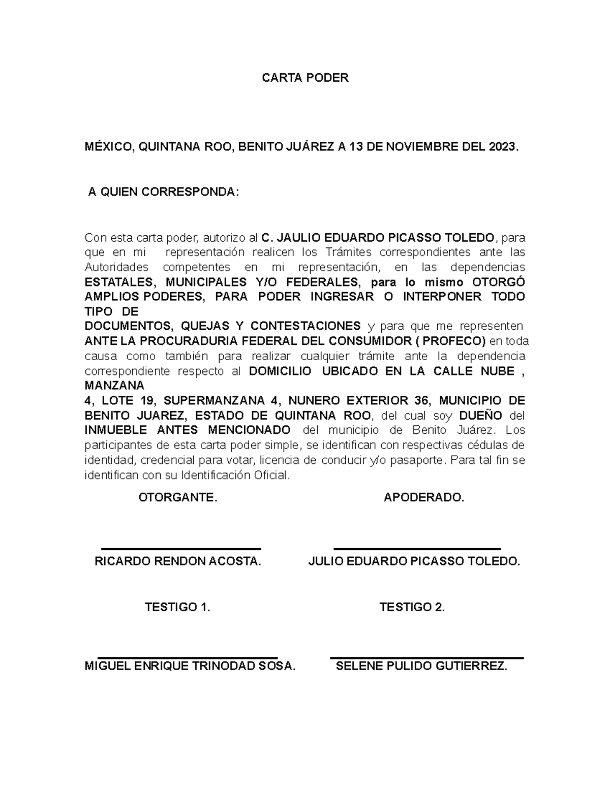 Carta Poder para Trámites - Señor Javier CFE - Nov 2023 - Studocu