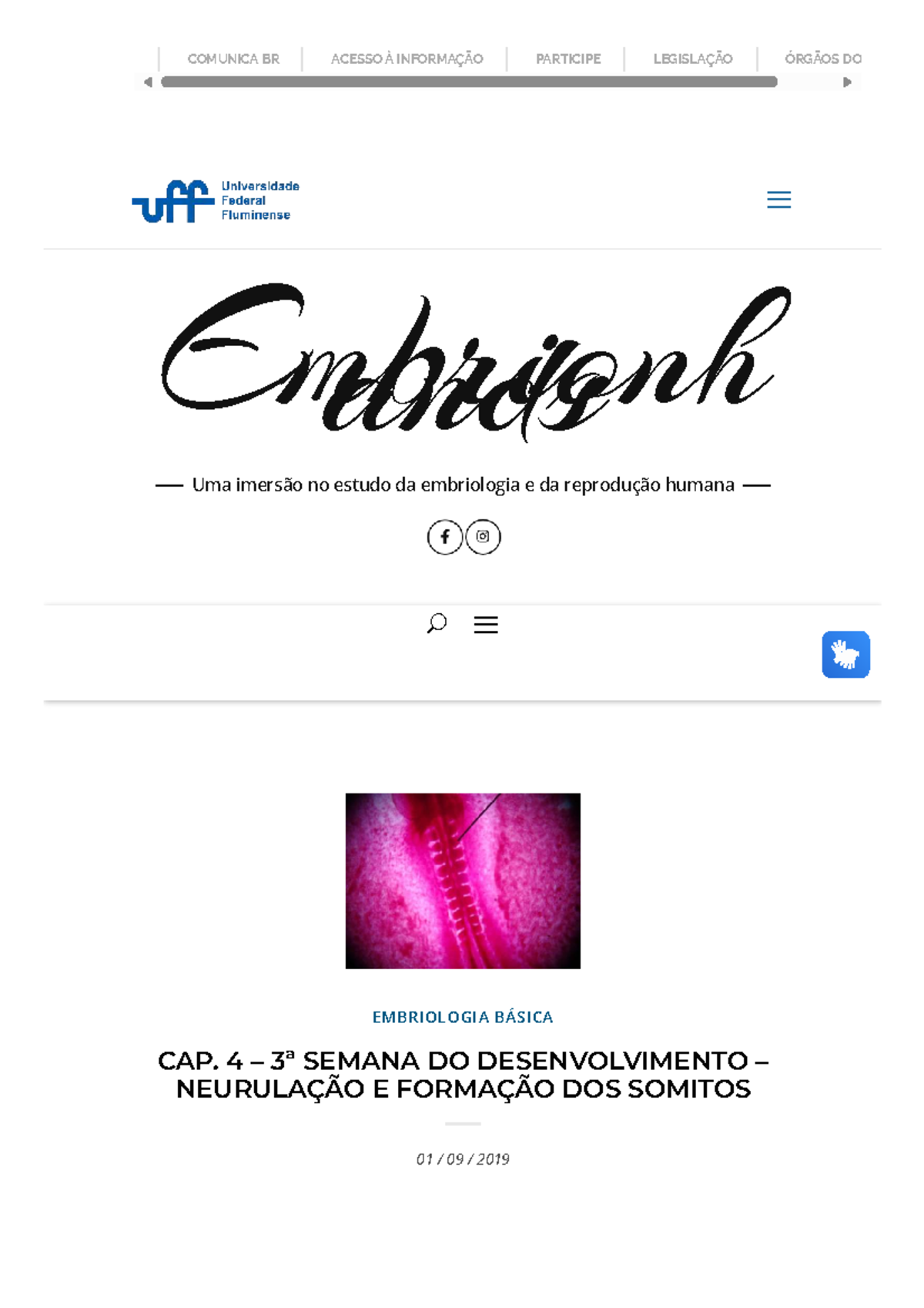 Cap. 4 - Neurulação e Formação dos Somitos na Embriologia Básica - Studocu