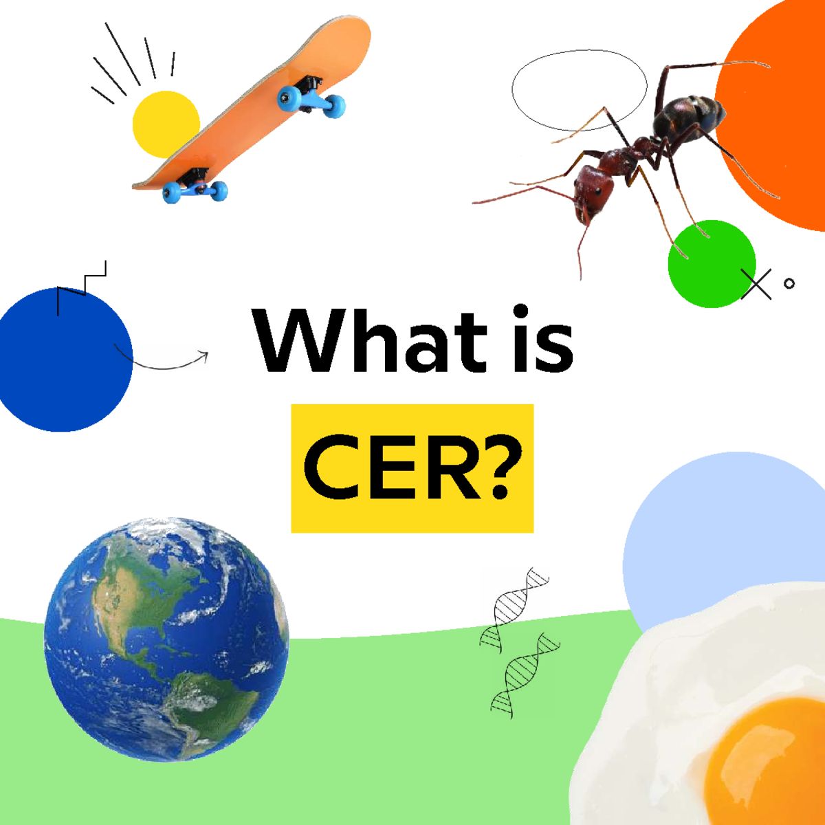 What is CER? A Guide to Claim, Evidence, and Reasoning 1700560695 - Studocu