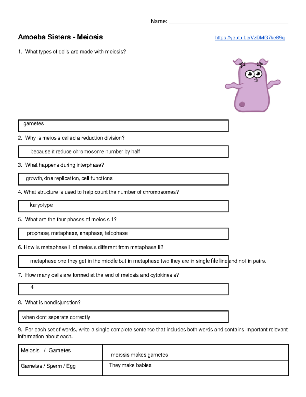 Amoeba Sisters - Final Exam Review on Meiosis Concepts - Studocu