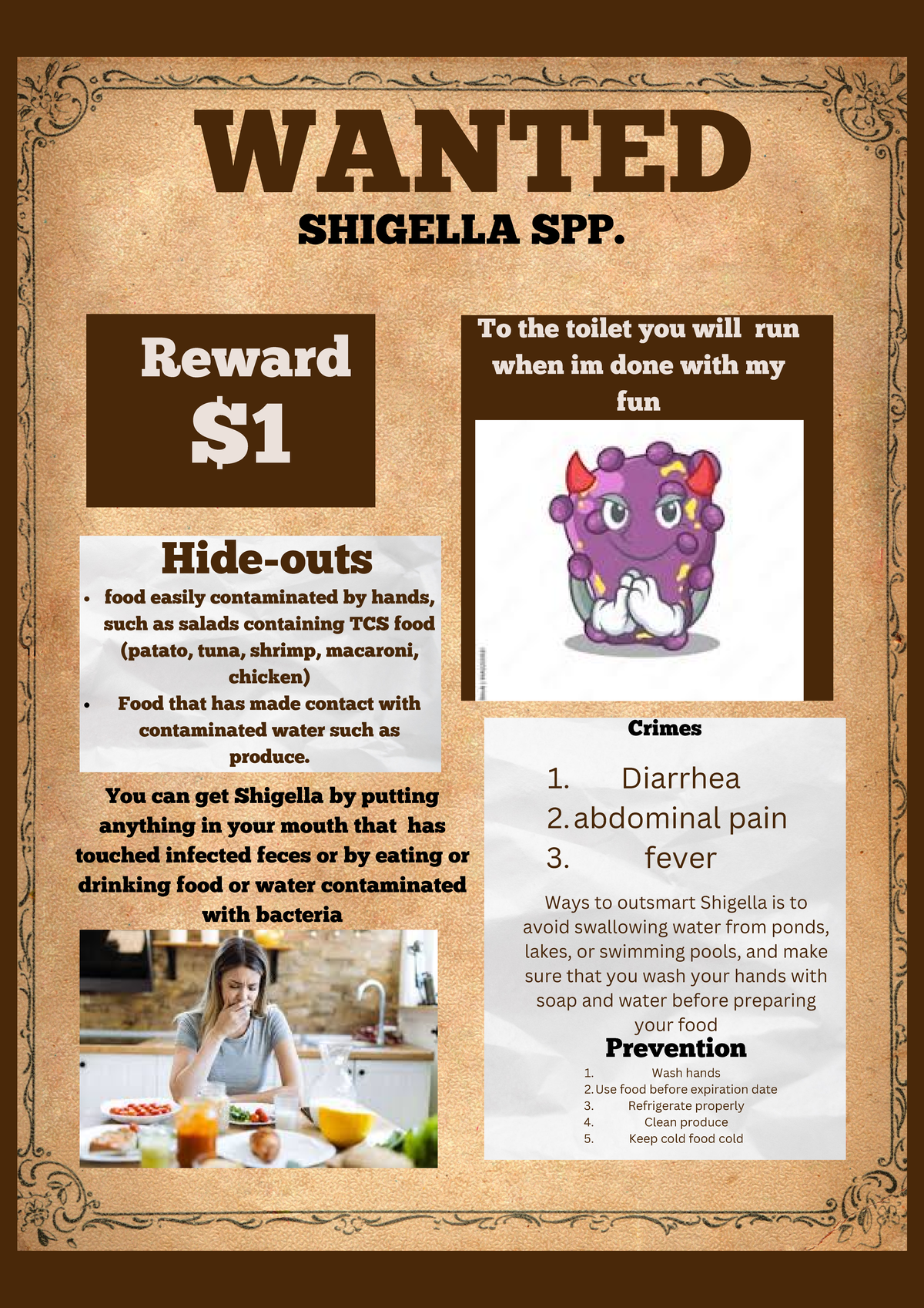 Shigella SPP: Prevention and Symptoms - Important Health Guide - Studocu