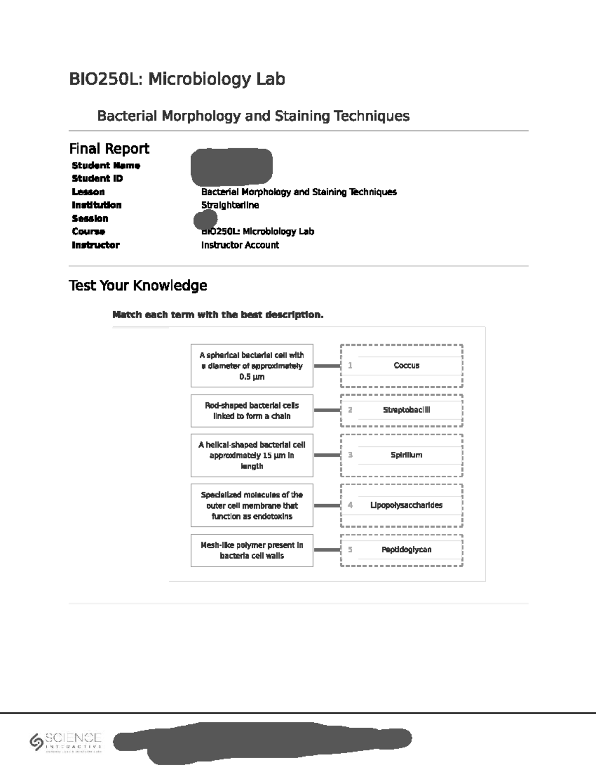 BIO250L: Microbiology Lab Final Report on Bacterial Morphology and ...