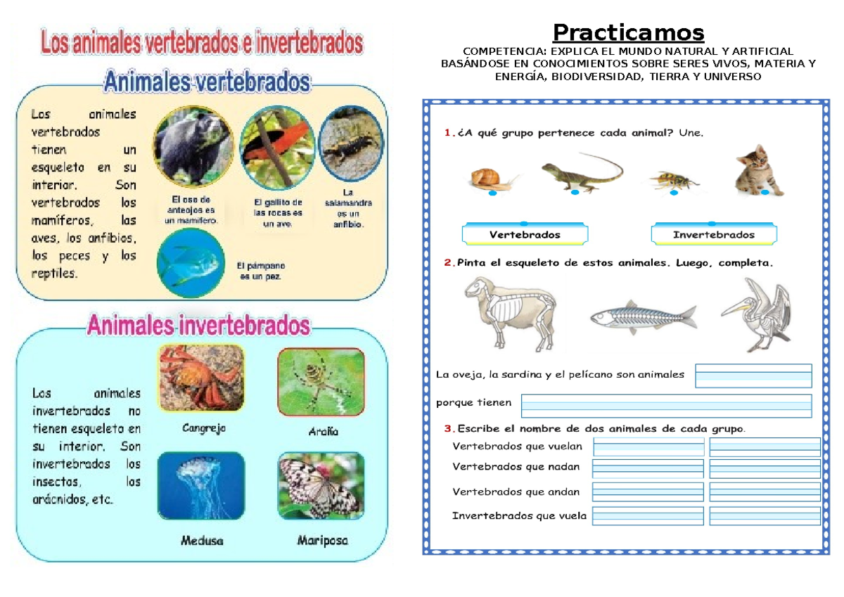 Fichas Ciencia Y Tecnología - animales - Sesión de Aprendizaje ...