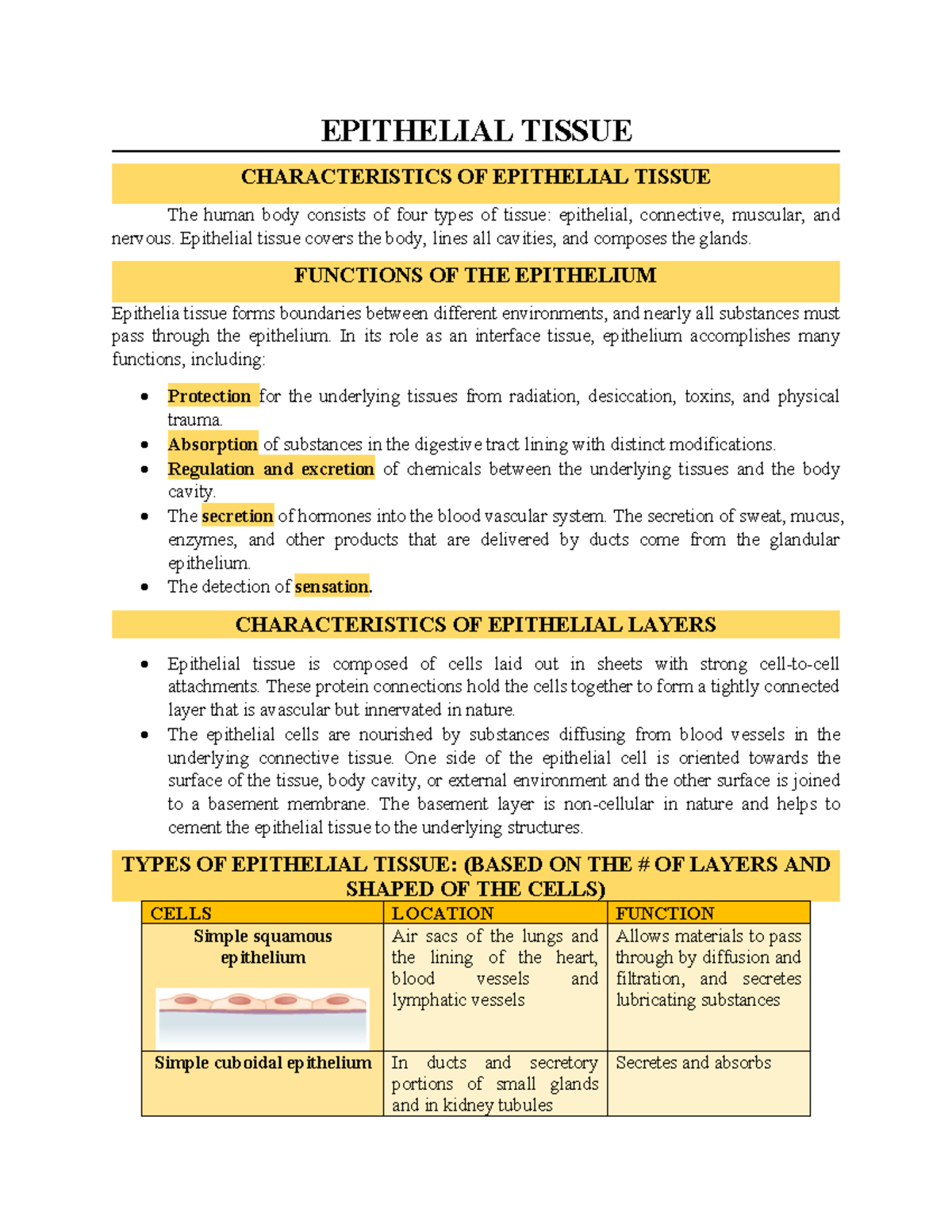 Epithelial Tissue - EPITHELIAL TISSUE CHARACTERISTICS OF EPITHELIAL ...
