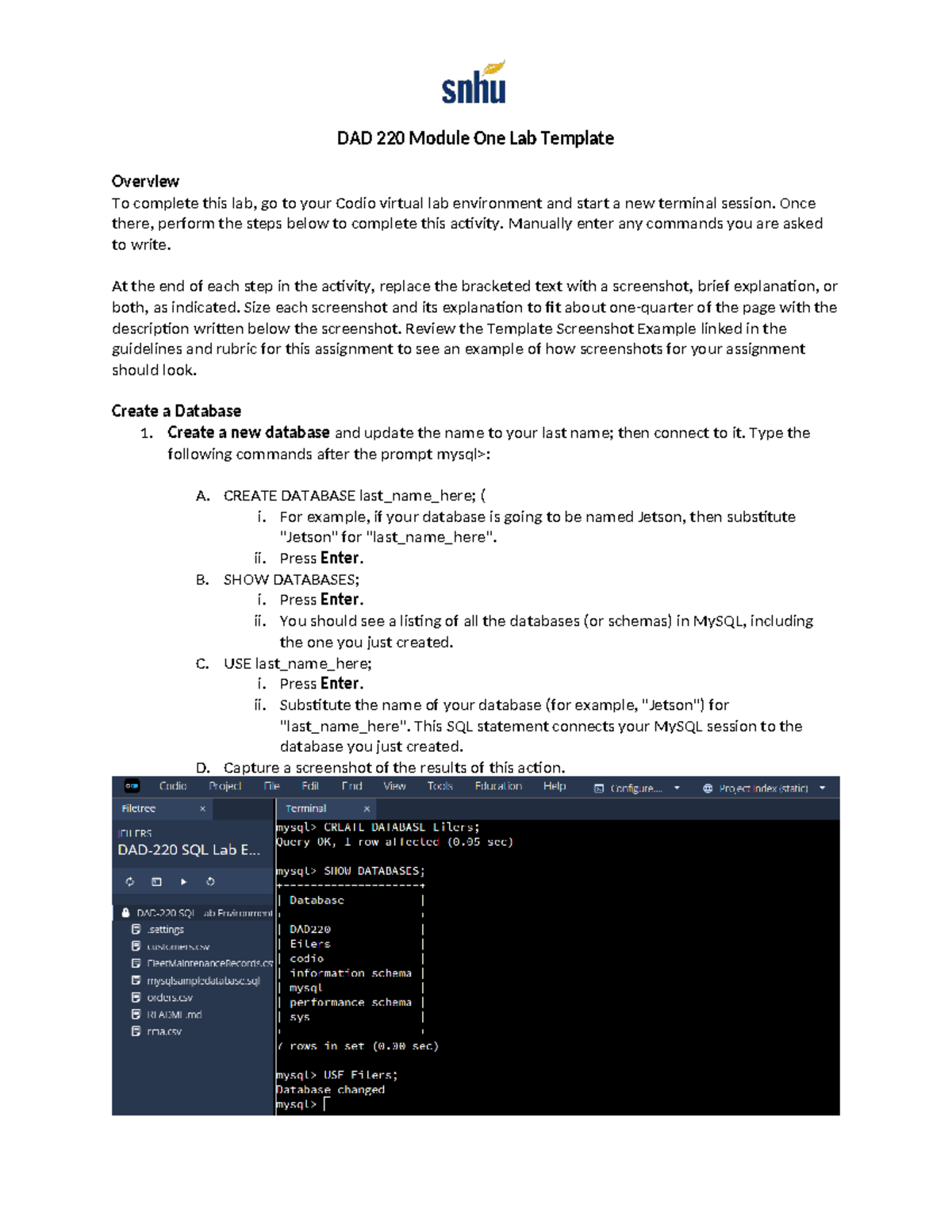DAD 220 Module One Lab: Database Creation and Commands Guide - Studocu