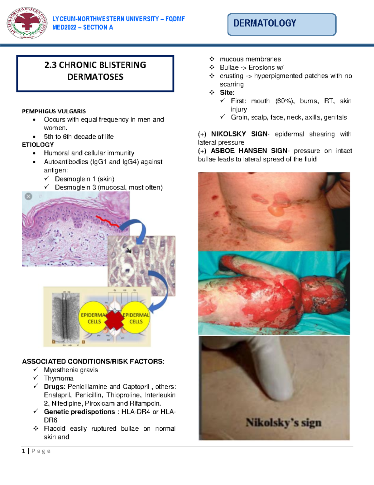 UNIVERSITY FQDMF MED2022 SECTION A DERMATOLOGY CHRONIC BLISTERING ...