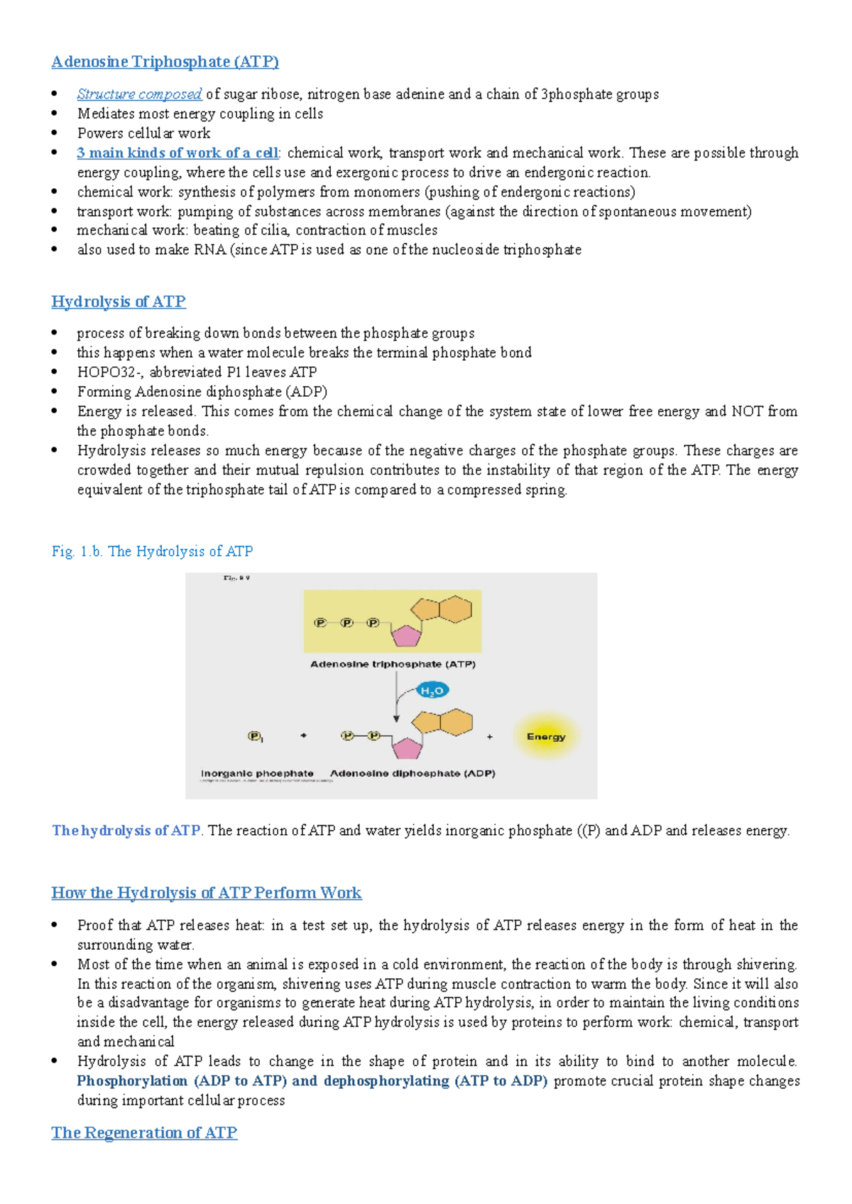 General Biology: ATP Structure and Function in Cellular Processes - Studocu