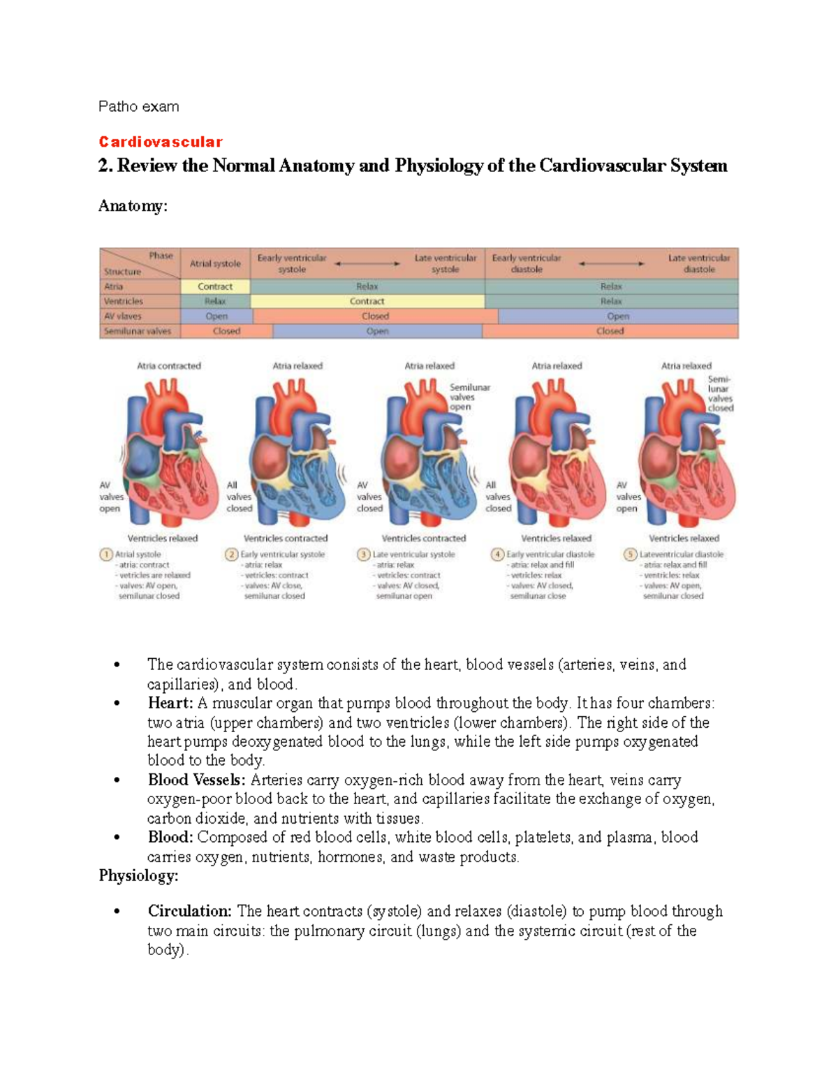 Patho Exam Review: Cardiovascular System & Related Disorders - Studocu