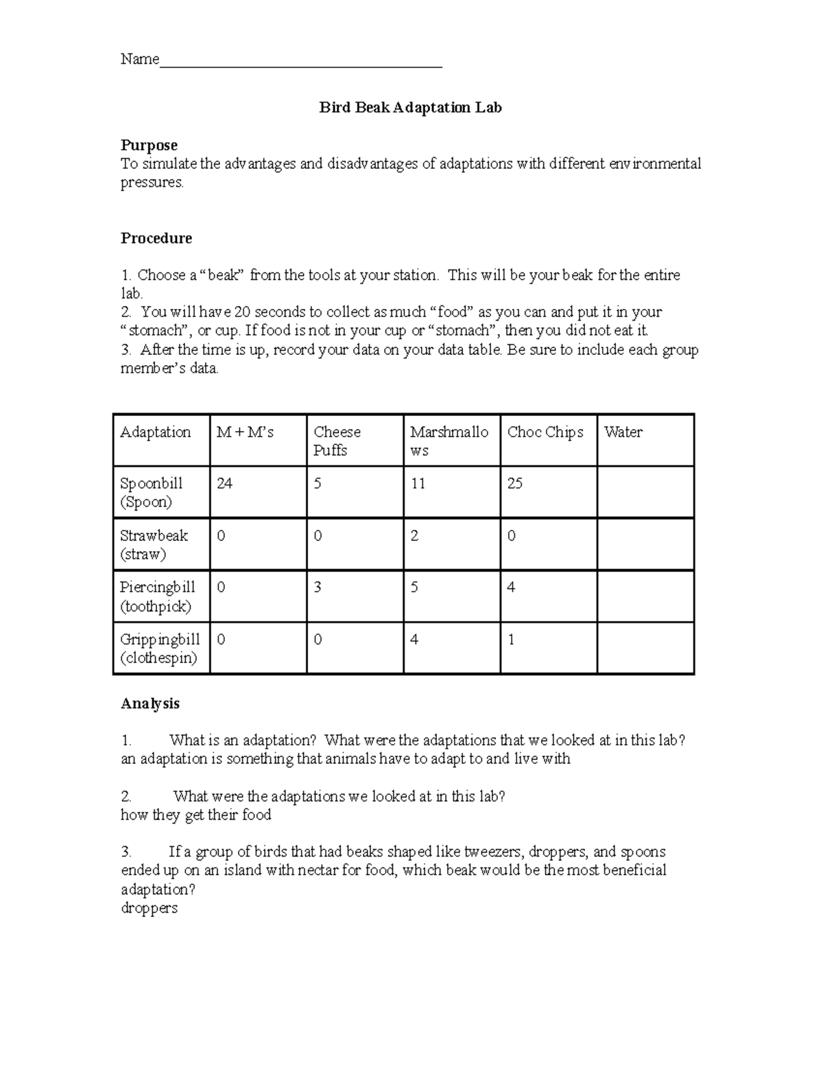 Copy of Bird Beak Adaptation Lab - Name ...