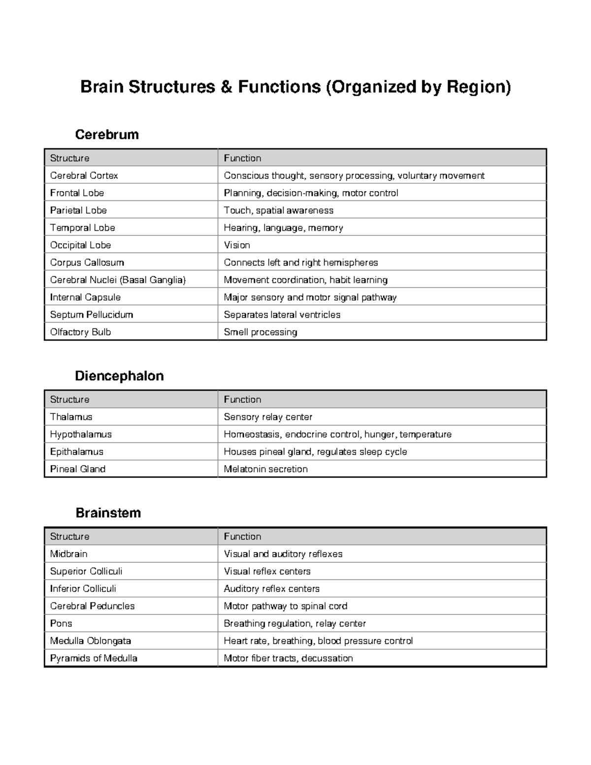 Brain Structures by Region: Functions of the Cerebrum and Diencephalon ...