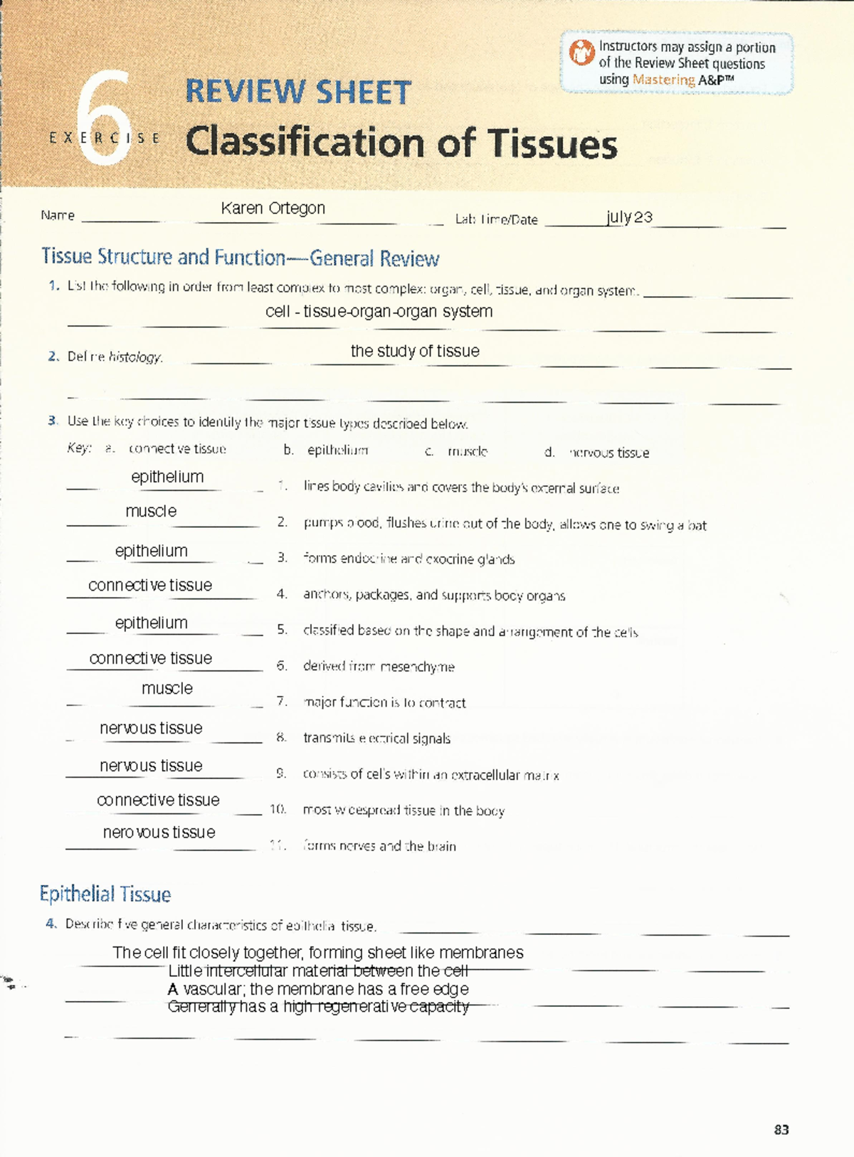 AP - Lab Exam 06 Review Sheet: Chapter 6 Tissue Classification - Studocu