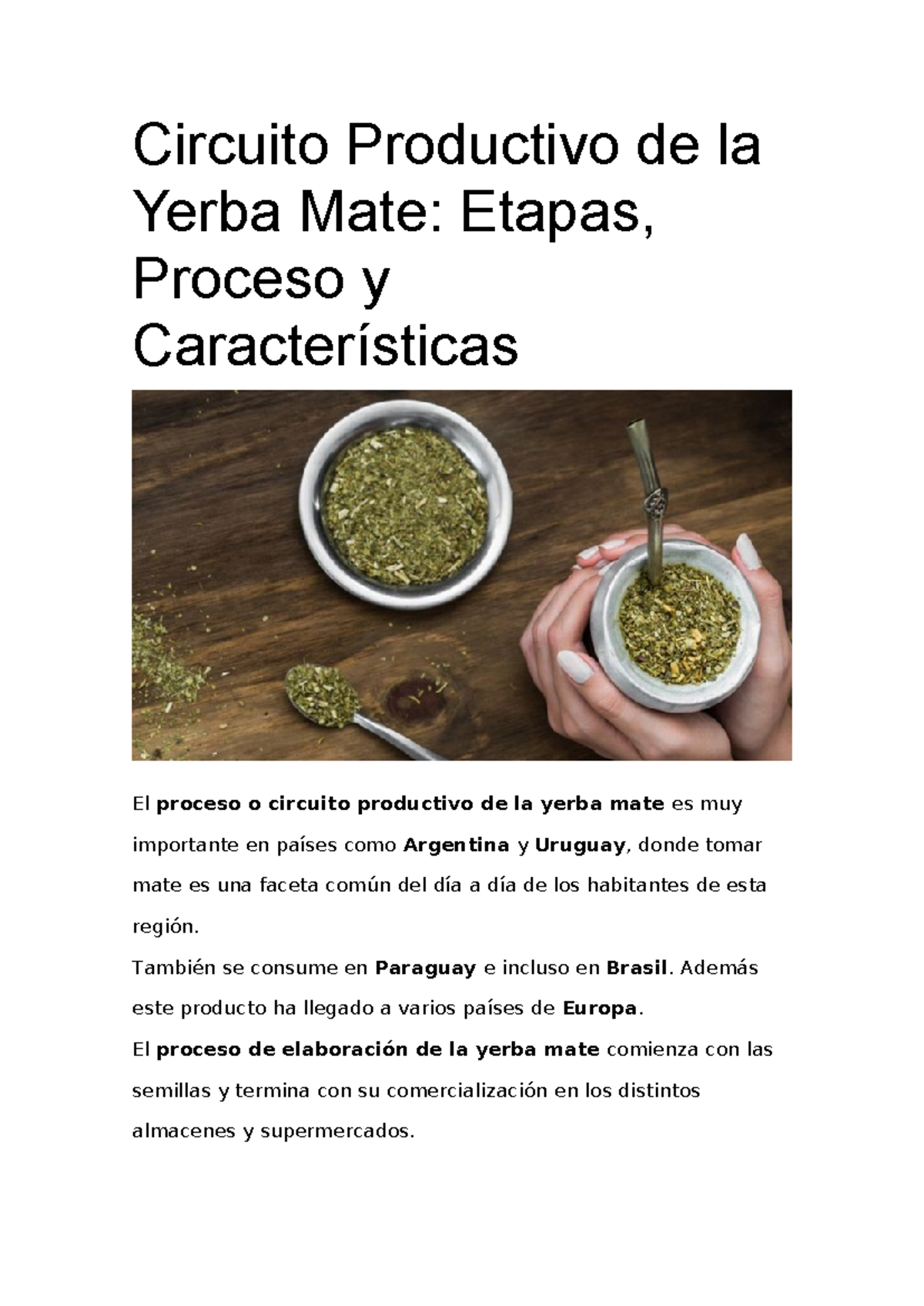 Circuito Productivo de la Yerba Mate: Proceso y Etapas Clave - Studocu