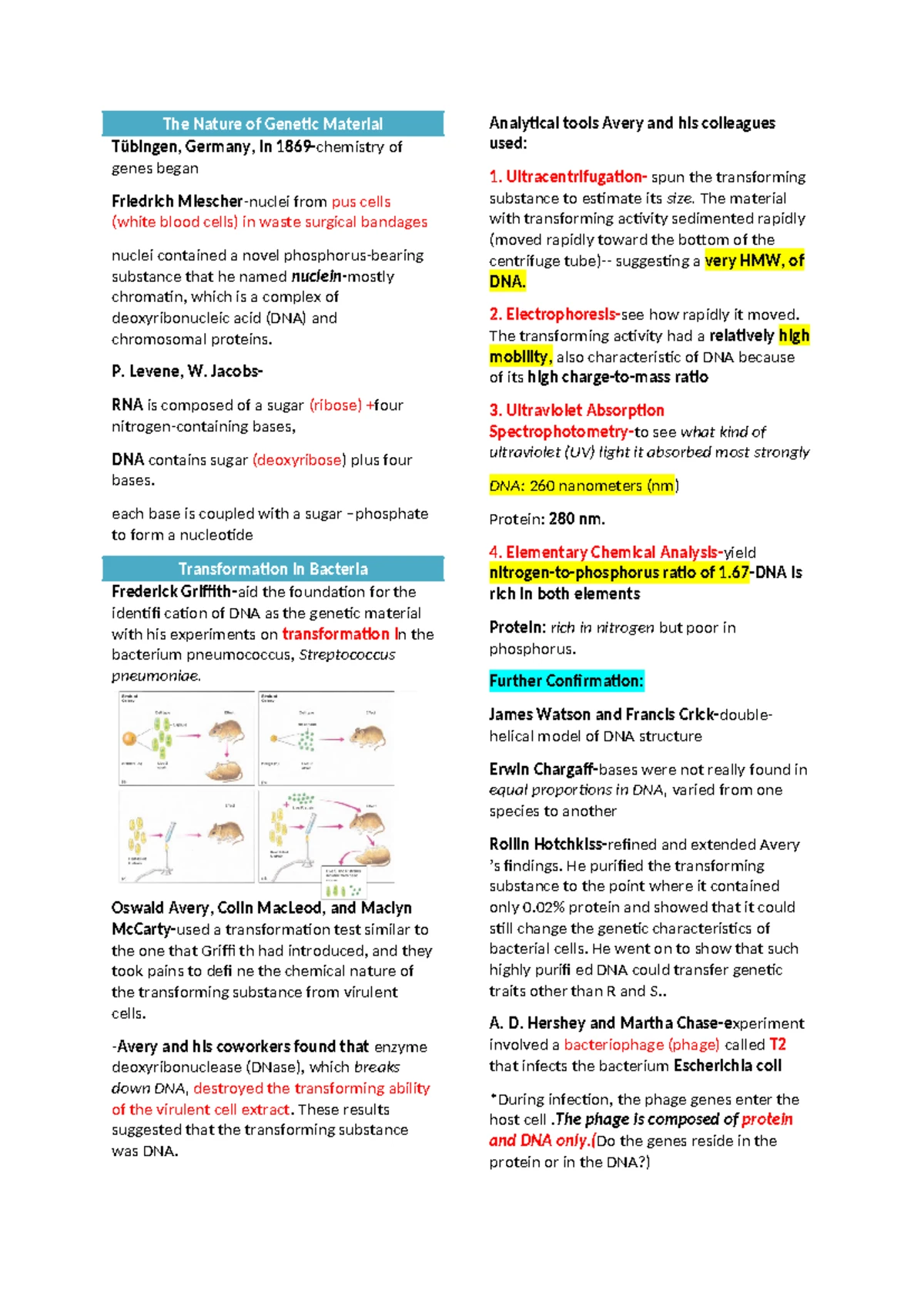 Study Notes on Genetic Material: DNA & RNA Fundamentals - Studocu