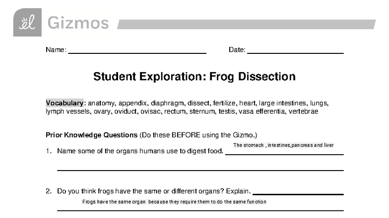 Frog Dissection Exploration SE - Anatomy Insights & Comparisons - Studocu