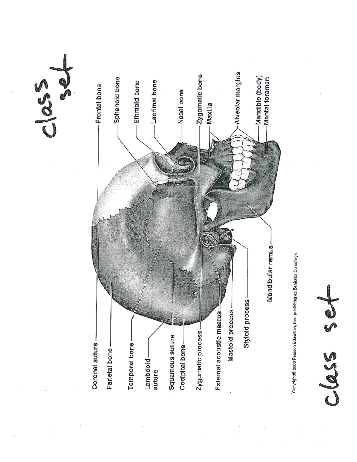 Steps of basic facial - Steps for a basic facial Set up: Towels: 1 on ...