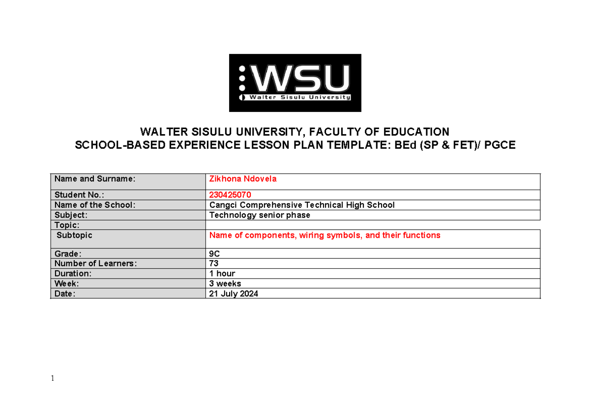 2024 SBE Lesson PLAN Template (003) multimeter - WALTER SISULU ...