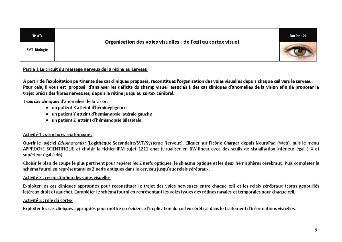 Tp 1 observation microscopique de coupes transversales d ovaire d ...
