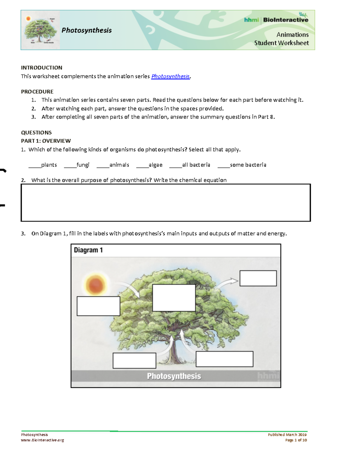 Photosynthesis Worksheet for Understanding Key Processes and Stages ...