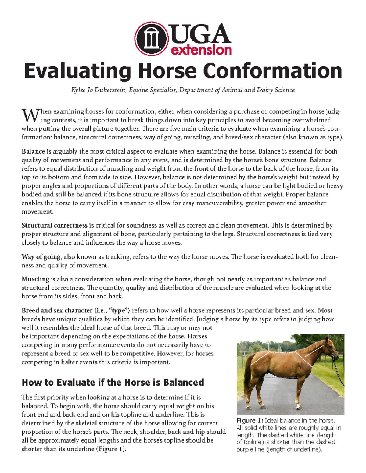Equine Science 101: Evaluating Horse Conformation Principles - Studocu