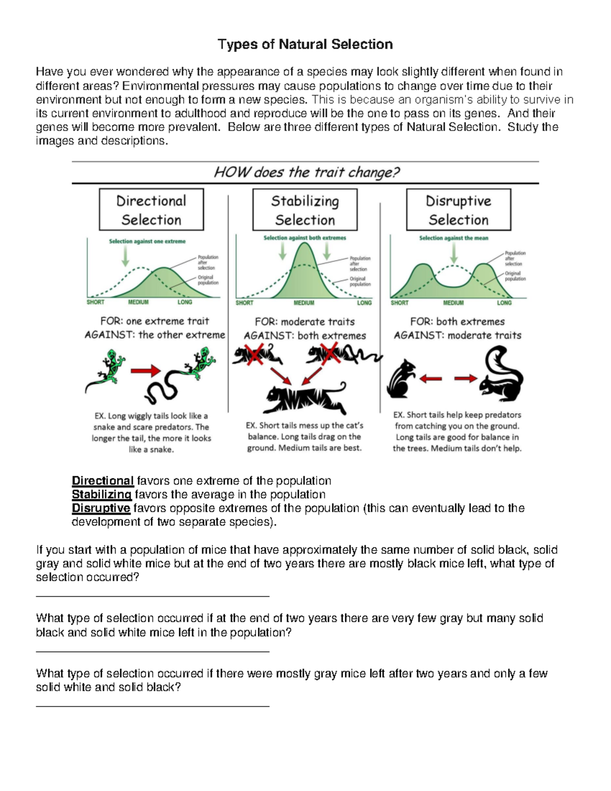 Patterns of Evolution and Types of Natural Selection (Bio 101) - Studocu