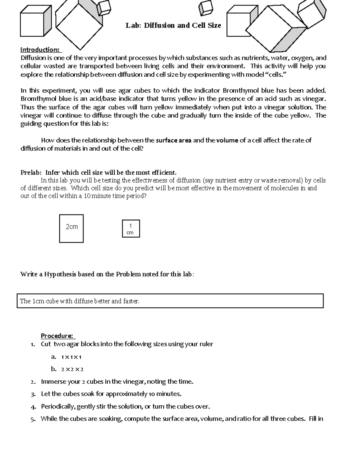 Lab Report: Diffusion & Cell Size - Exploring Agar Cubes in Bio 101 ...