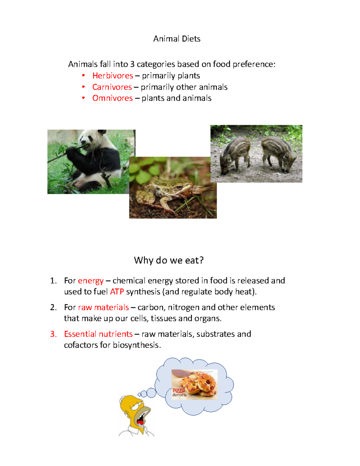 Animal Nutrition and Digestive Systems Overview - Studocu