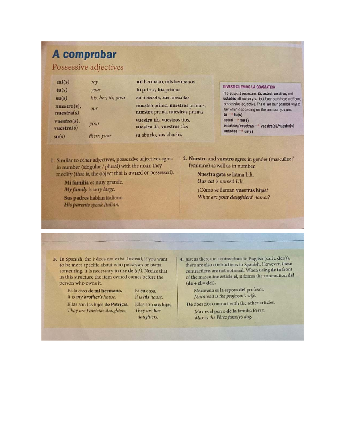 Intro to Spanish Notes: Possessive Adjectives & Conjugation - Course ...