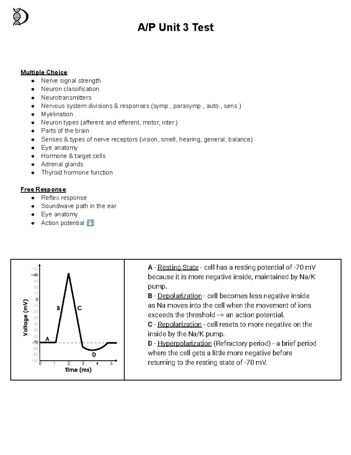 A/P Unit 3 Test Review: Nervous System & Signal Transmission Concepts ...