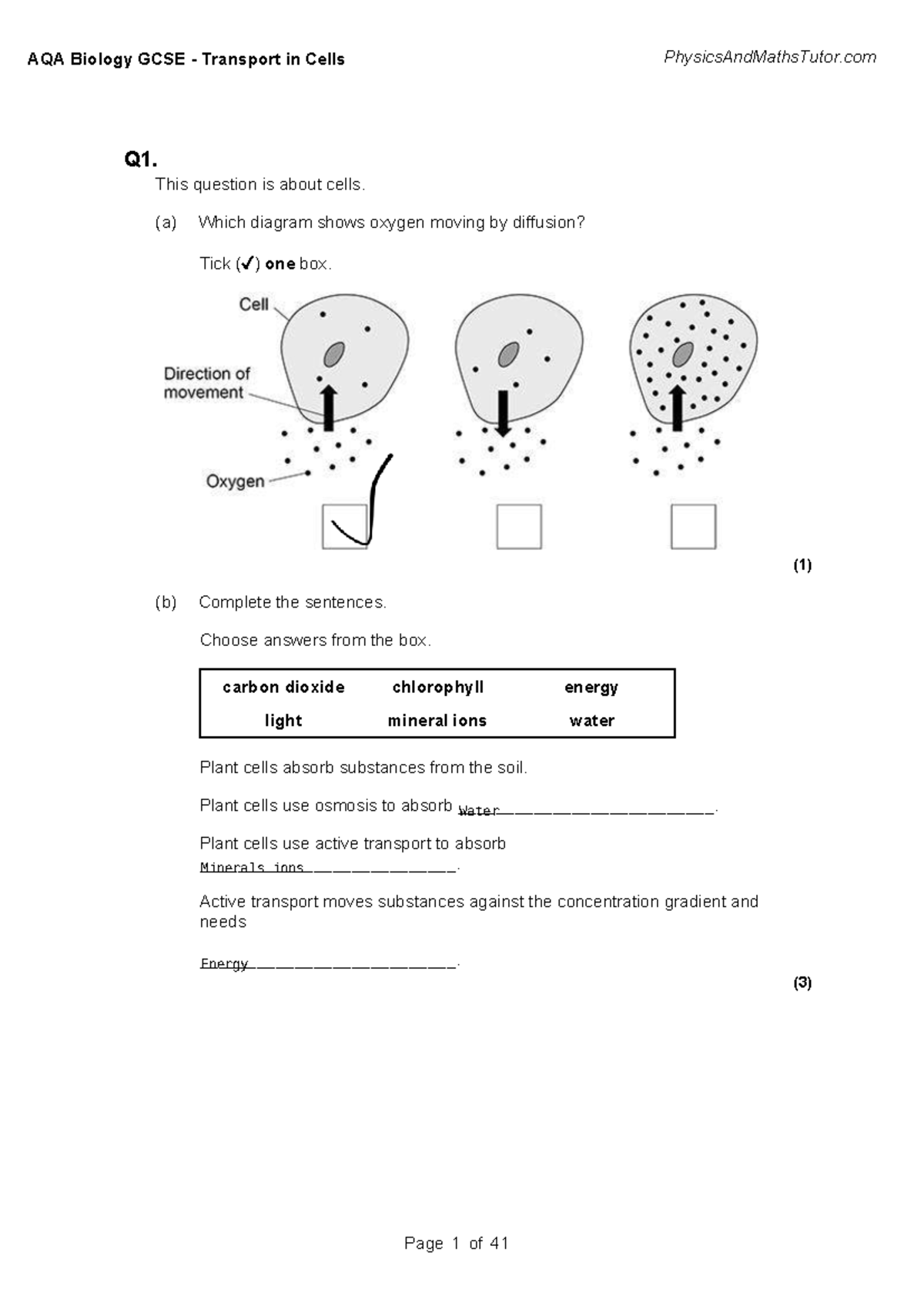 AQA Biology GCSE Transport in Cells QP - Comprehensive Study Guide ...
