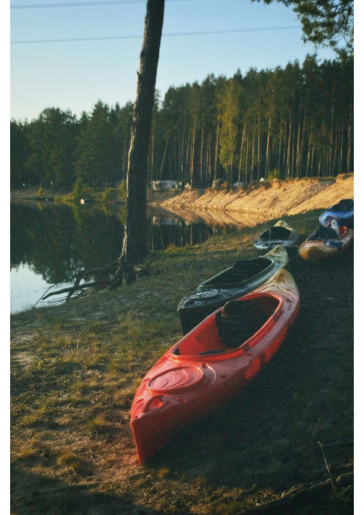 BTU PYQ - It includes all previous year questions on 6th-semester subjects of CS/IT. - Studocu