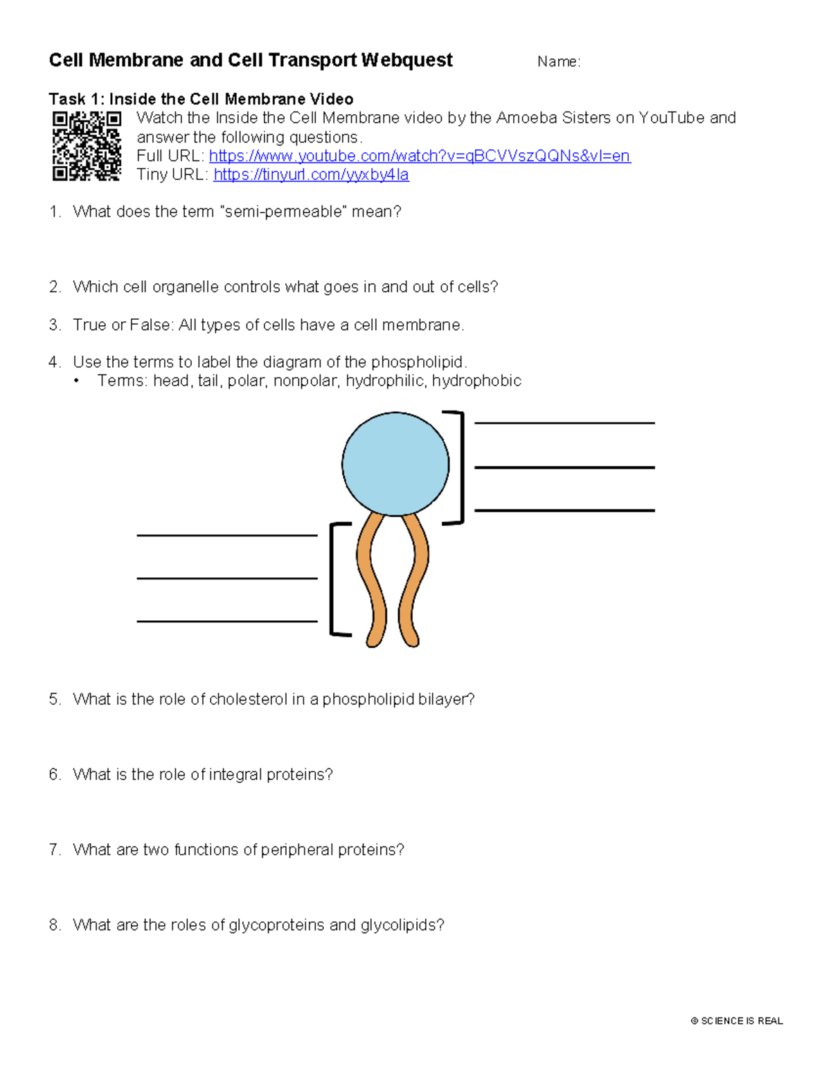 Cell Transport Webquest Handout - Biology 101 Activities - Studocu