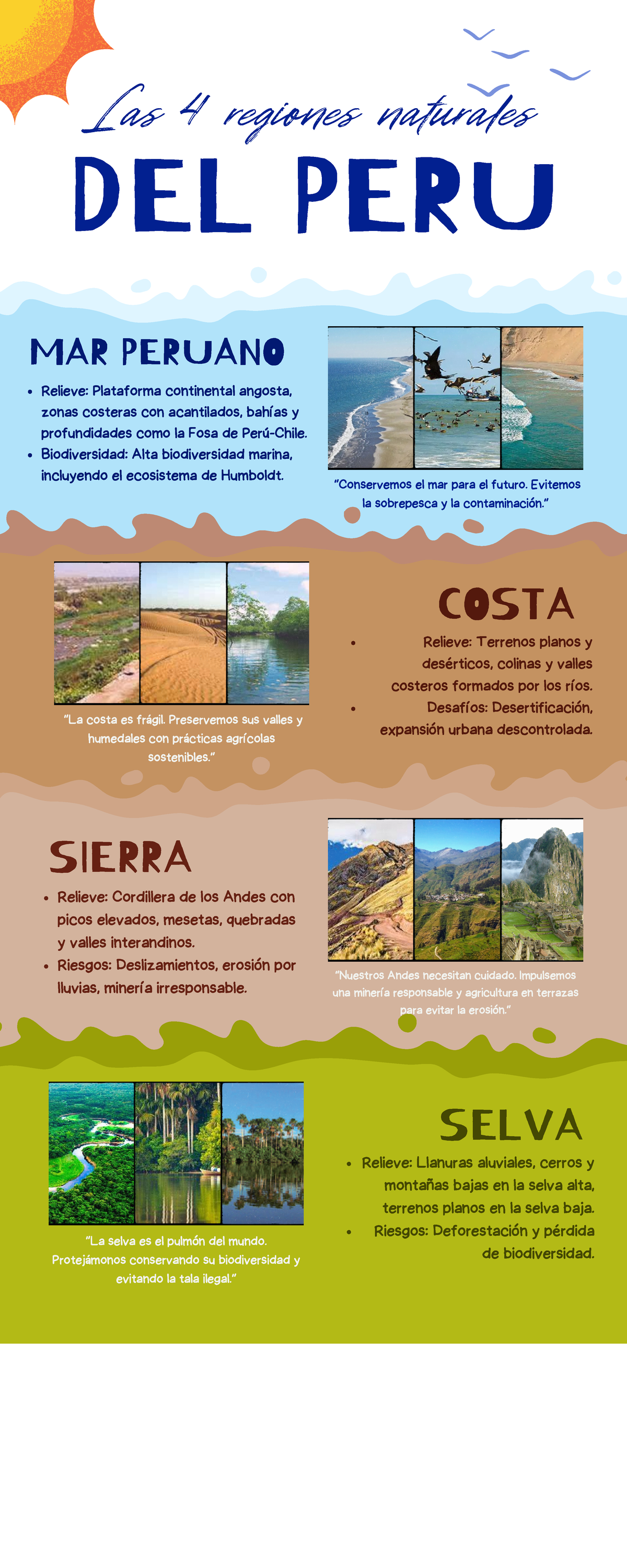 Infografía sobre las 4 Regiones Naturales del Perú - Studocu