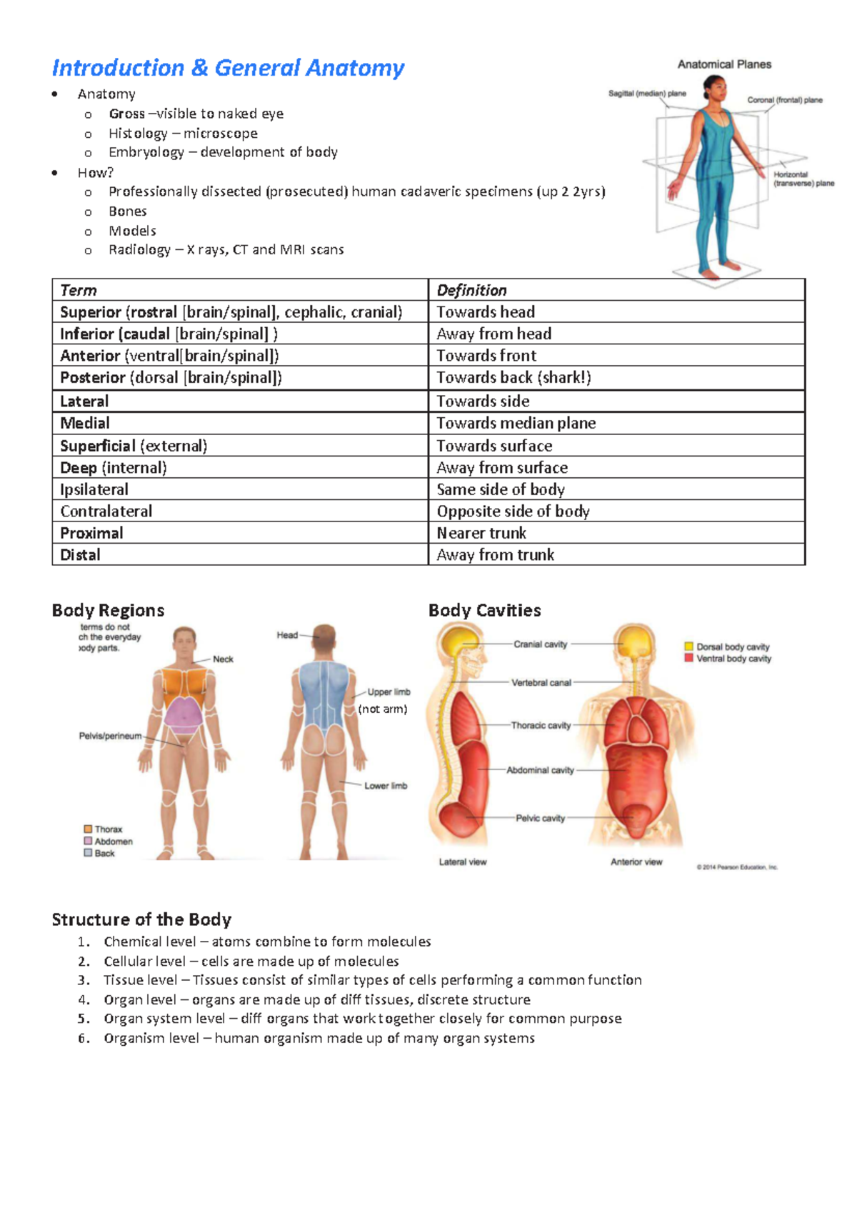 Lecture Notes 1-5: Introductory Anatomy Overview and Key Concepts - Studocu