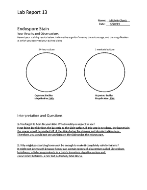 Lab Exercise 15 - Lab Report 14 Name: Michele Glantz Date: 5/21/19 ...