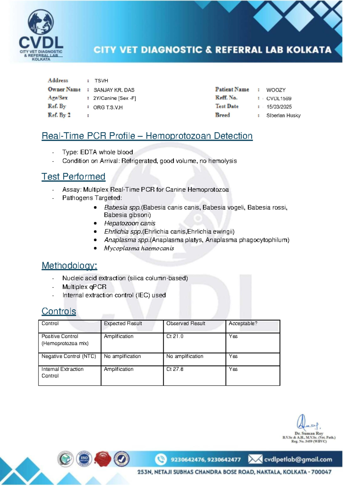 PCR Profile for Canine Hemoprotozoa Detection: EDTA Blood Analysis ...