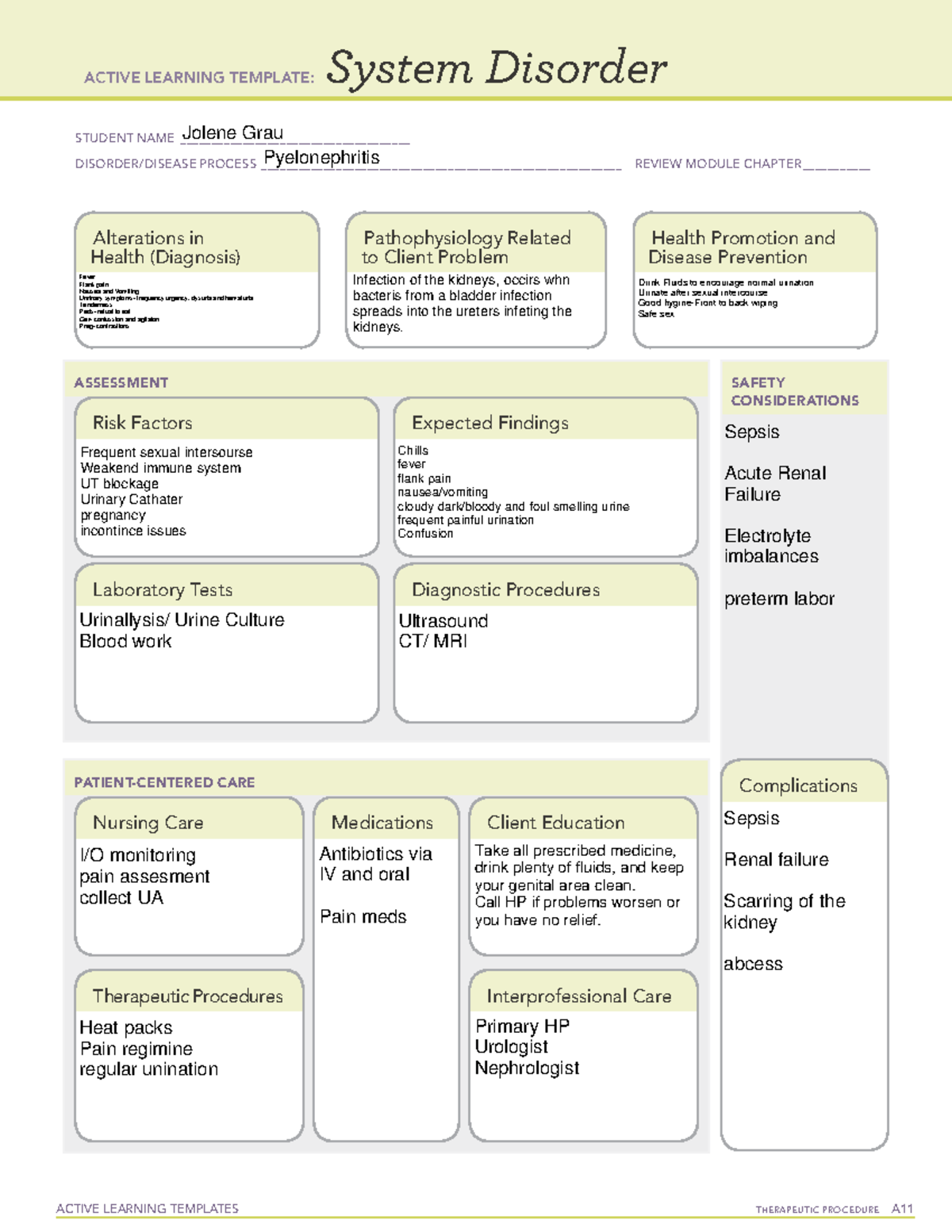 Active Learning Template: Pyelonephritis ATI System Disorder Notes ...