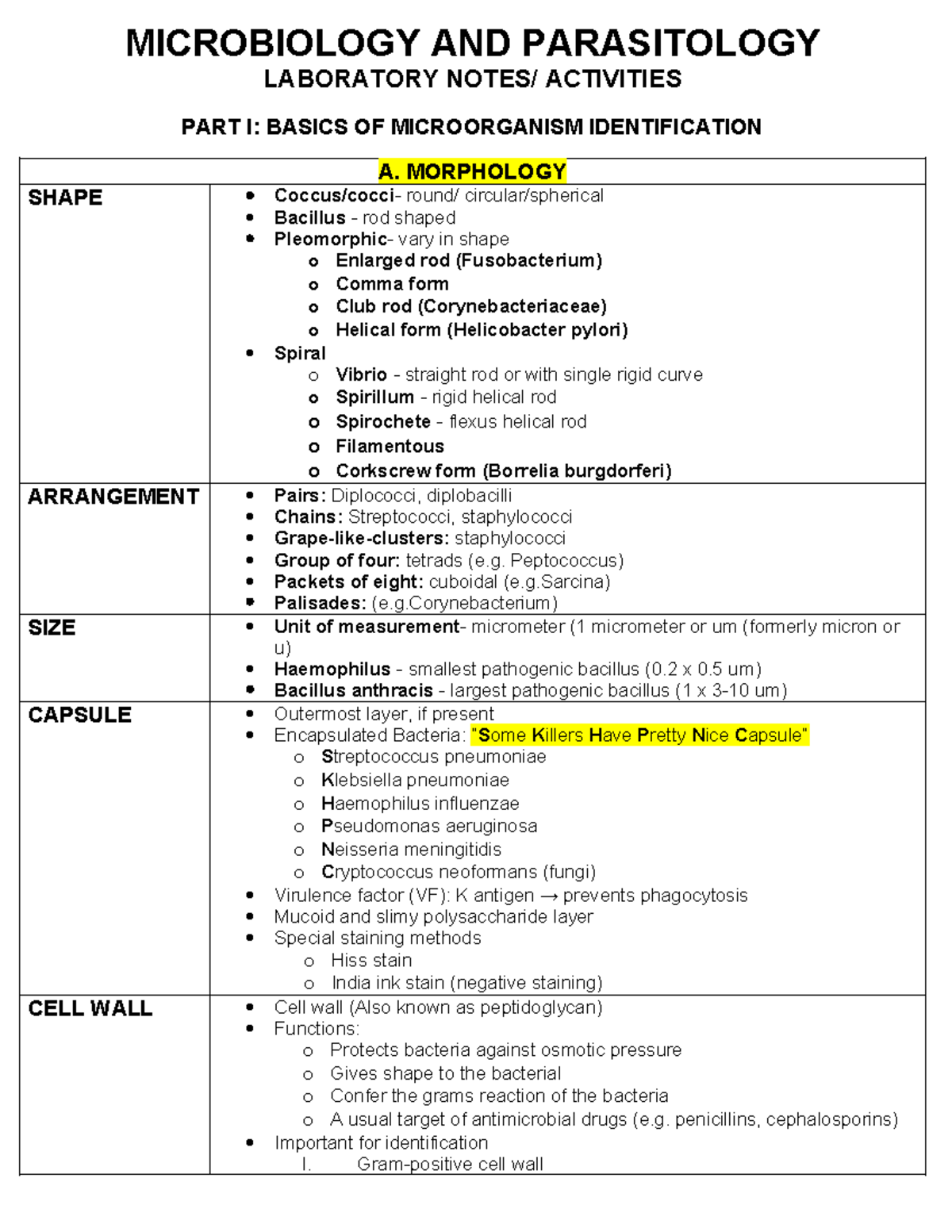 Identification and Classification of Bacteria: Lab Notes & Techniques ...