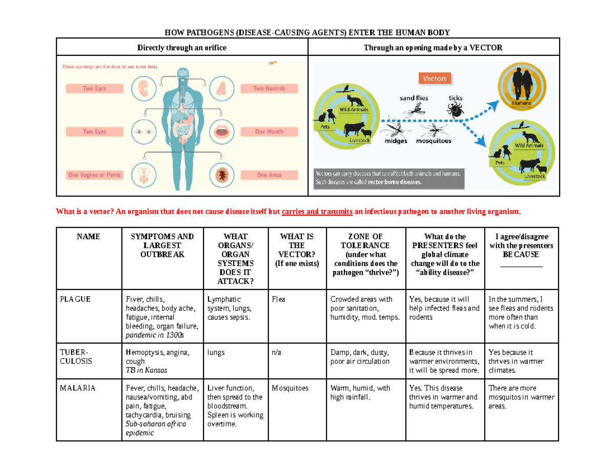 APES Pathogens and Infectious Diseases - HOW PATHOGENS (DISEASE-CAUSING ...