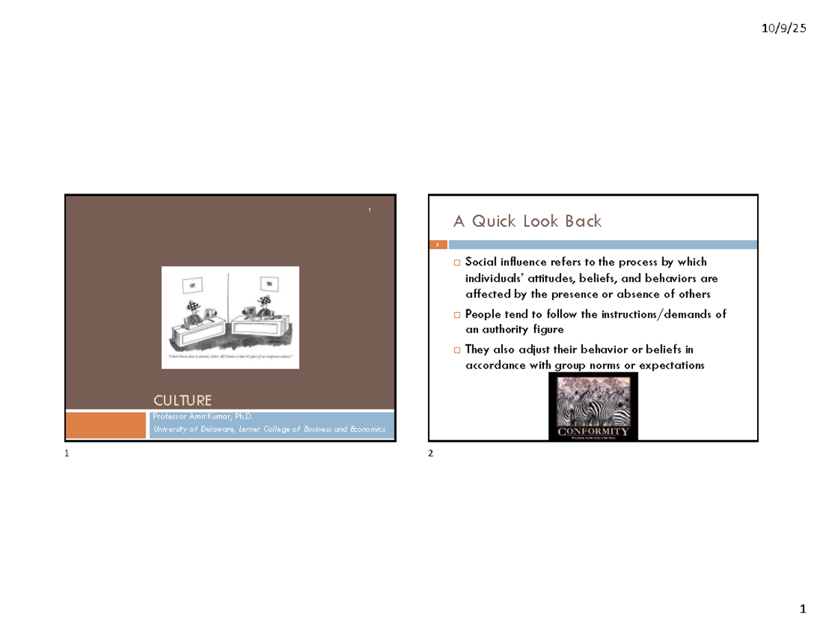 CULTURE AND CONSUMER BEHAVIOR INSIGHTS (MKTG 101) - Prof. Amit Kumar ...