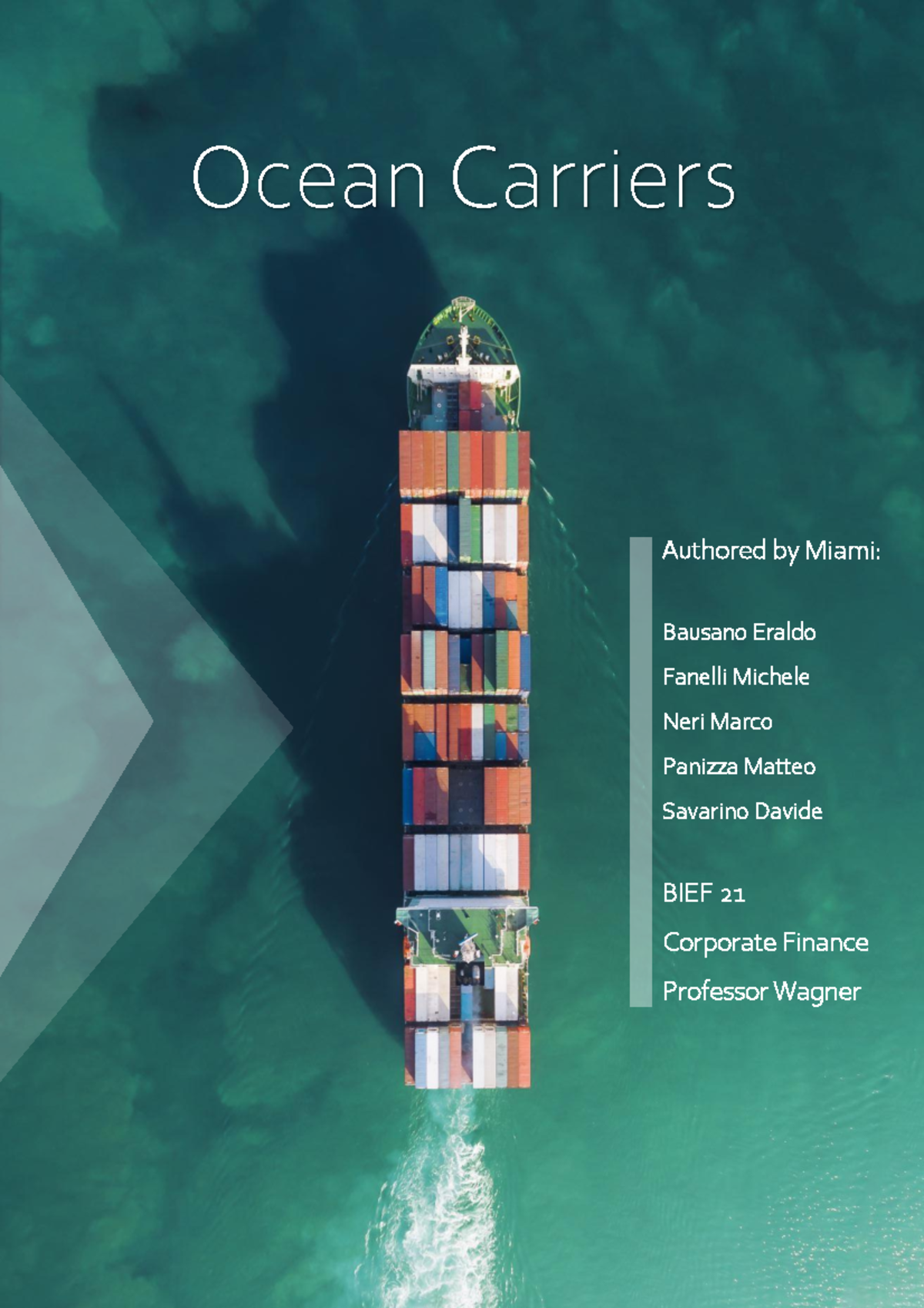 Ocean Carriers Project Report: NPV Analysis for Investment Decision ...