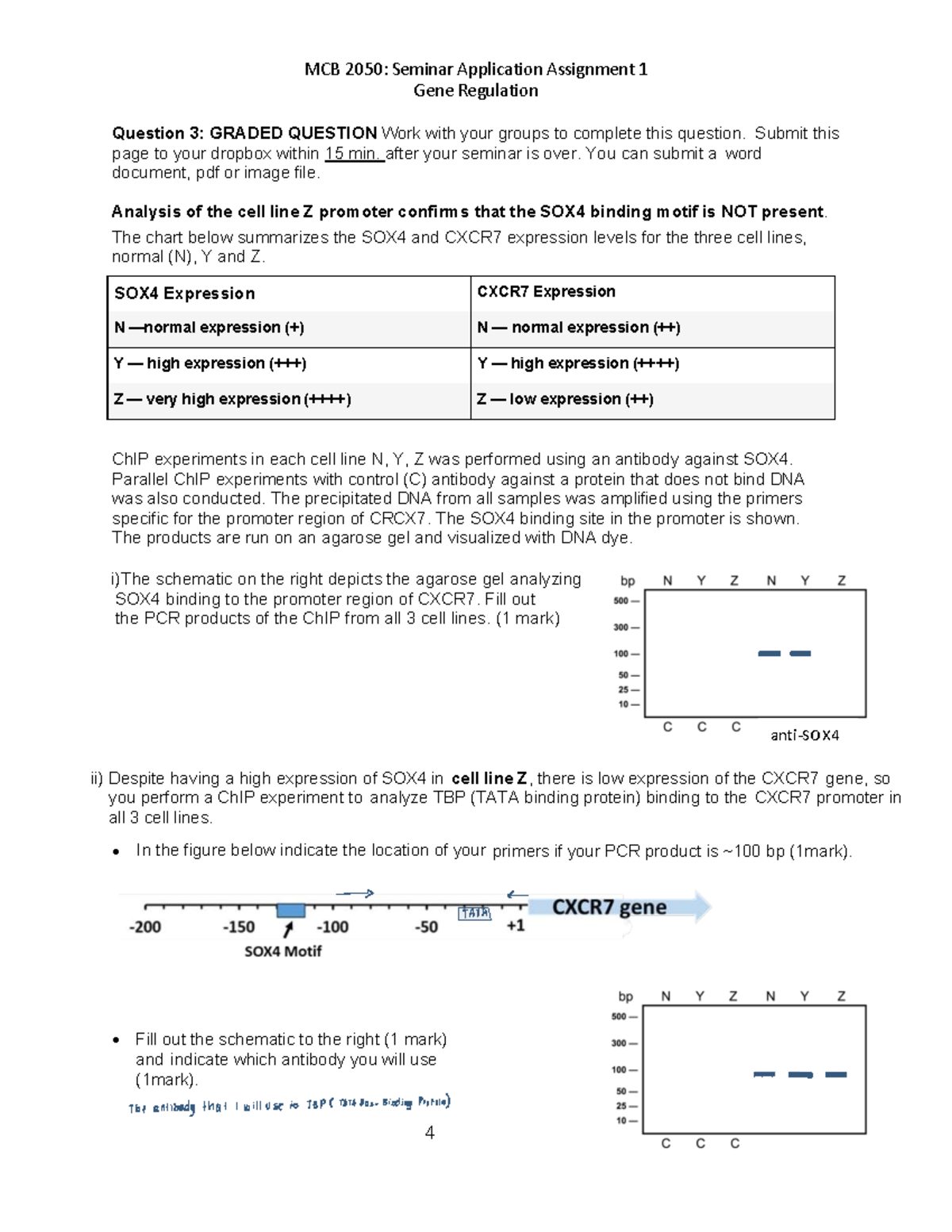 MCB 2050: Seminar 1 Gene Regulation Analysis & ChIP Experiments - Studocu