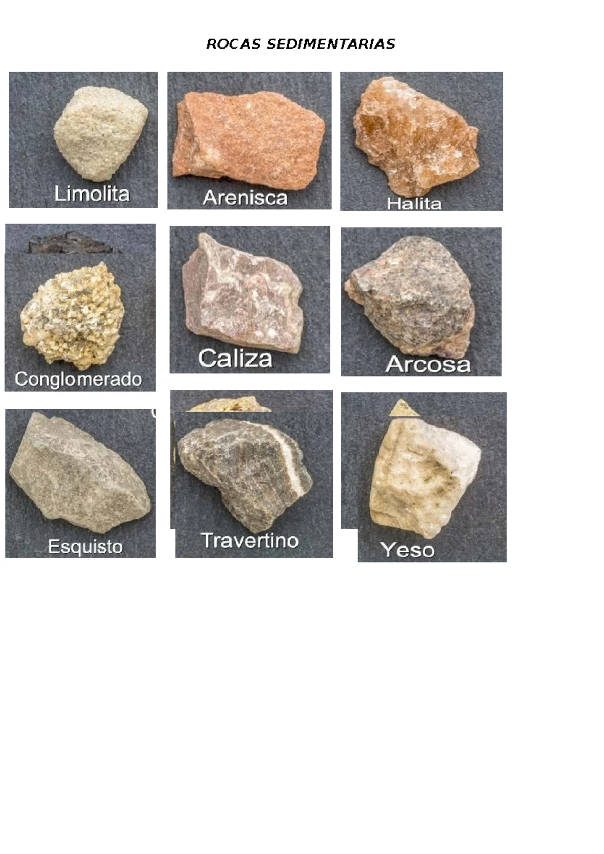 Rocas Sedimentarias - Ciencias físicas - ROCAS SEDIMENTARIAS Limolita ...