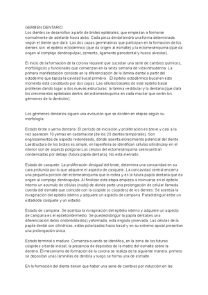 Informe Esclerótica - Histología de la Esclerotica - TÚNICA FIBROSA ...