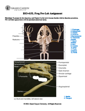 6 BIO-415L-RS-Sheep Brain Dissection Pre Lab Assignment - BIO-415 L ...